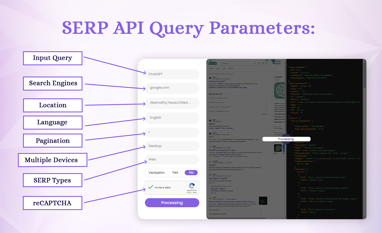 Common SERP API Query Parameters - SERPHouse