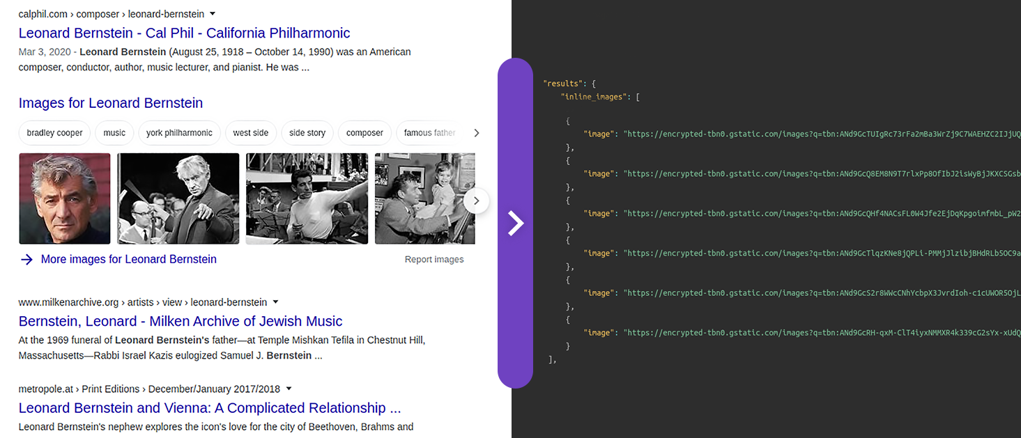 SERPHouse - Google SERP API
