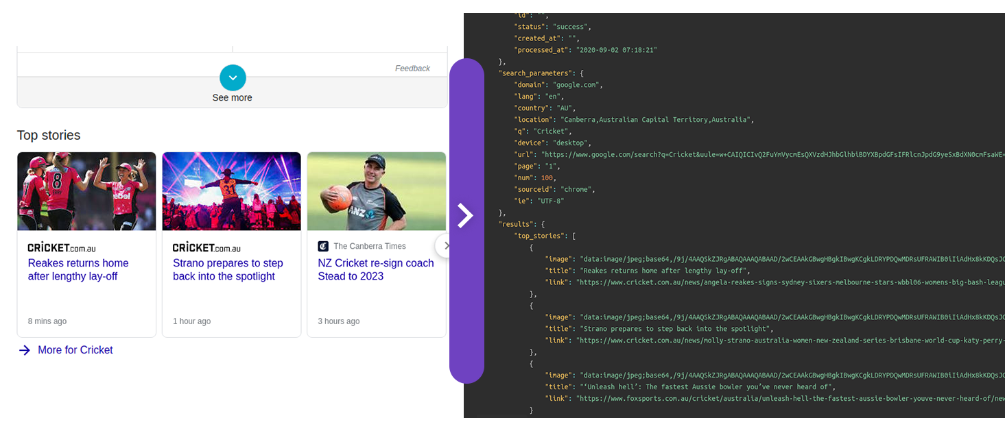 SERPHouse - Google SERP API